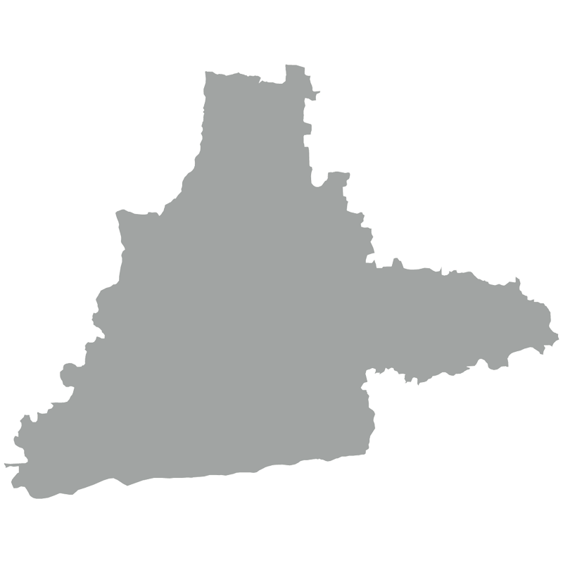 Dhar MP (Lok Sabha) Election Results 2019 Live: Candidate List ...